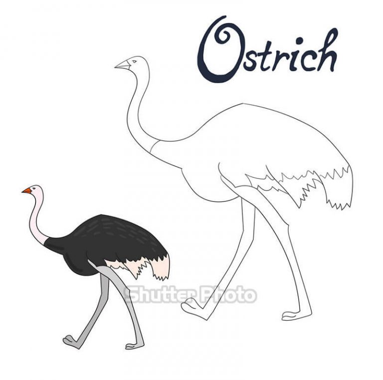 27+ Tranh tô màu con đà điểu ngộ nghĩnh đáng yêu Update 2025