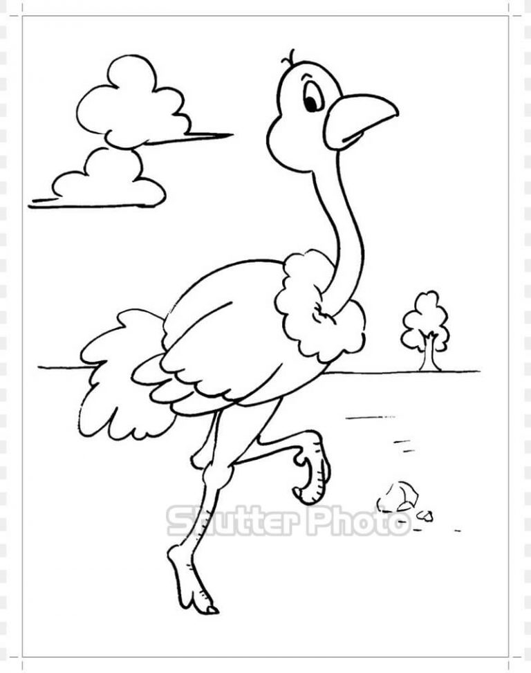 27+ Tranh tô màu con đà điểu ngộ nghĩnh đáng yêu Update 2025