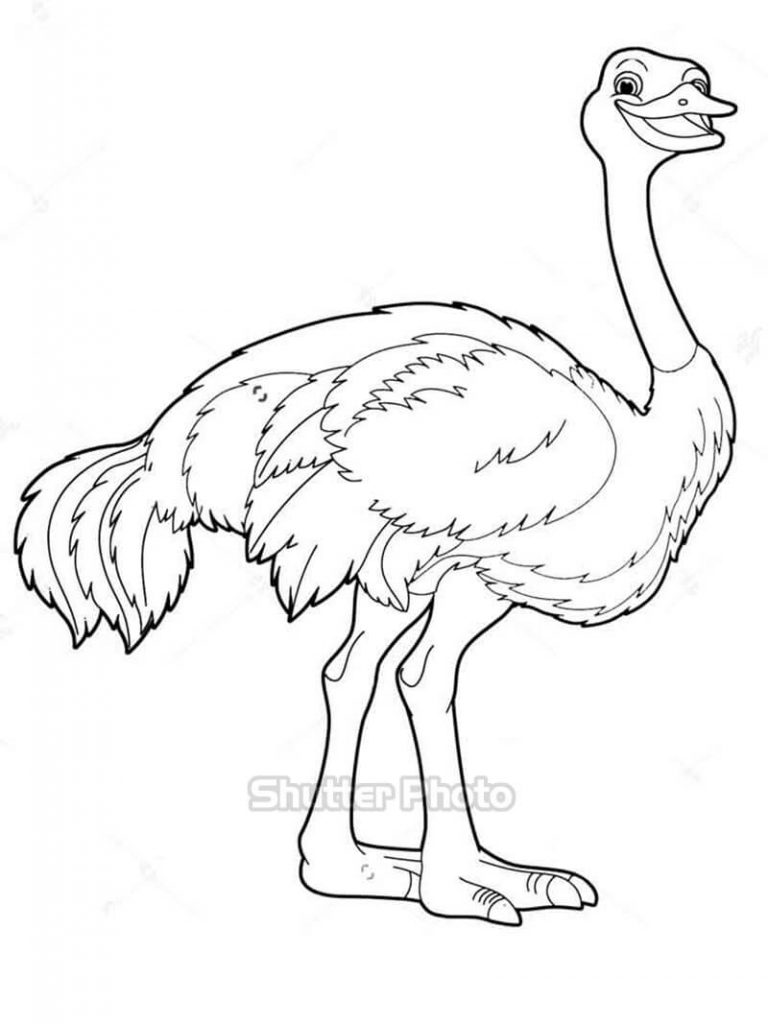 27+ Tranh tô màu con đà điểu ngộ nghĩnh đáng yêu Update 2025