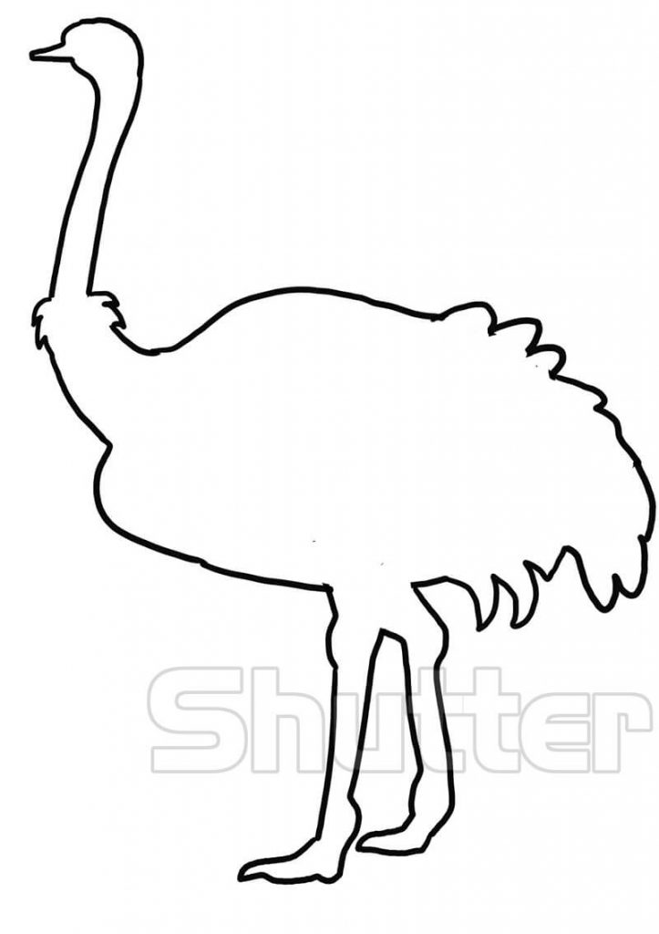 27+ Tranh tô màu con đà điểu ngộ nghĩnh đáng yêu Update 2025