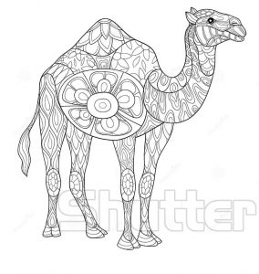 37+ Tranh tô màu con lạc đà đẹp nhất dễ tải dễ in Update 2026