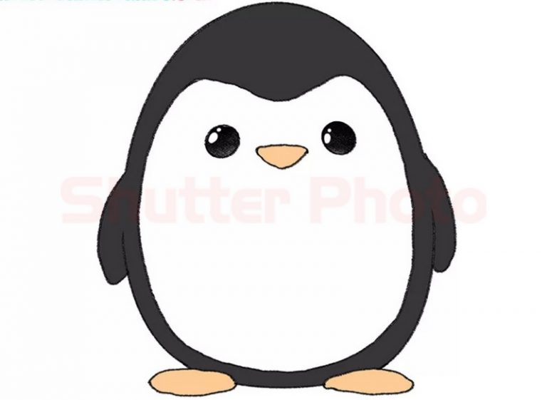 7 bước hướng dẫn chi tiết vẽ chim cánh cụt cute đơn giản cho bé Update 2026